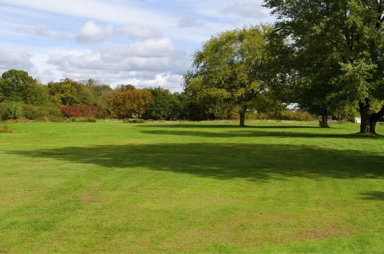 Firefly Golf Course | All Square Golf