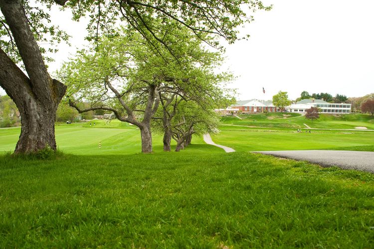 Hatherly Country Club | All Square Golf