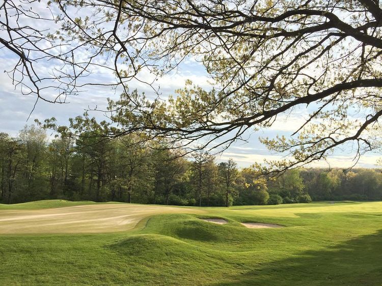 Toftrees Resort | All Square Golf