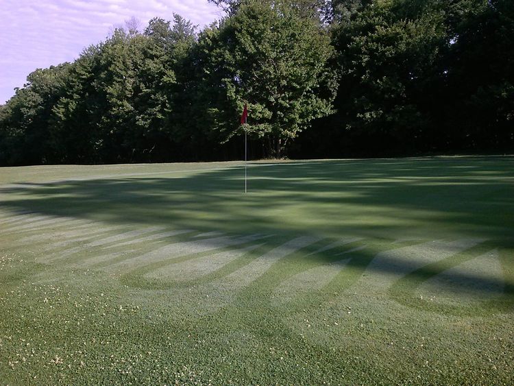 Hi-Level Golf Course | All Square Golf