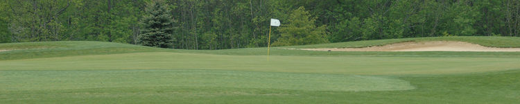 Wedgewood Golf Club | All Square Golf