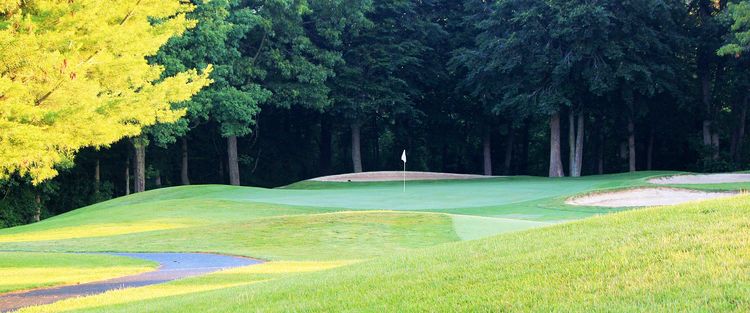 The Rookery North | All Square Golf