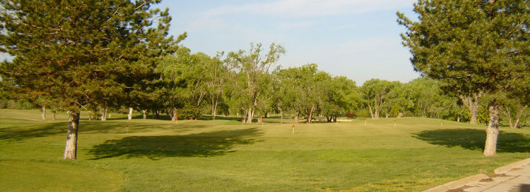 Rolling Meadows Golf Course | All Square Golf