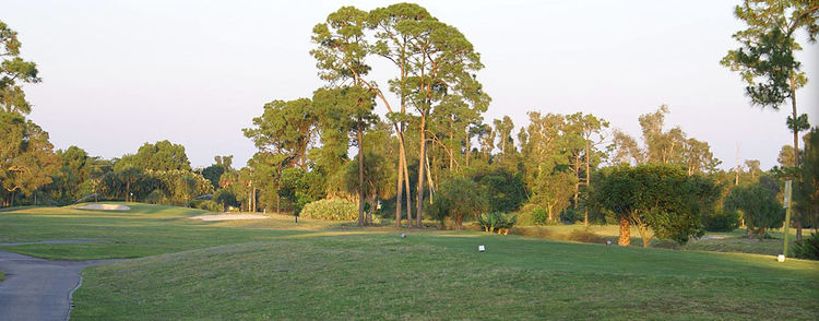 Forest Oaks Golf Club | All Square Golf