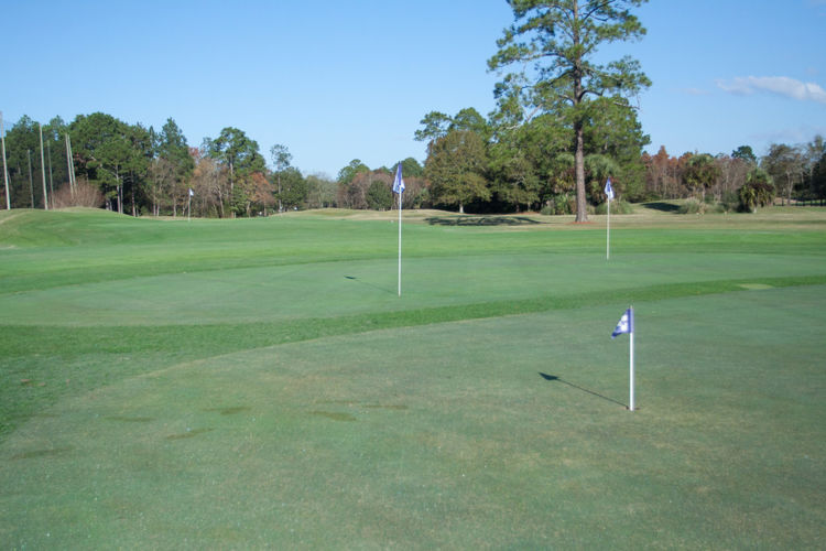 Nature Walk Golf Club | All Square Golf