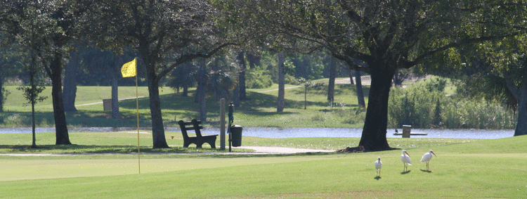 Fairwinds Golf Course | All Square Golf
