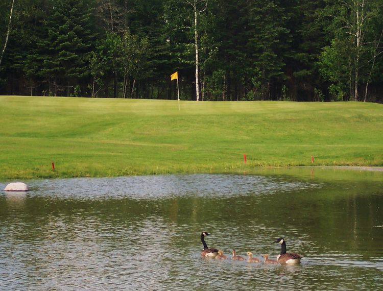 Limestone Country Club | All Square Golf