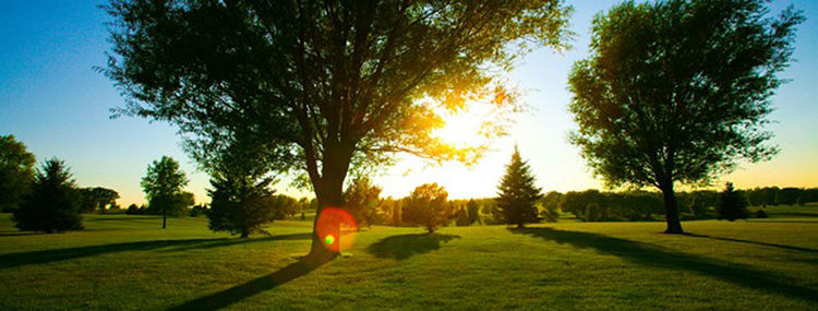 Oak Summit Golf Course | All Square Golf