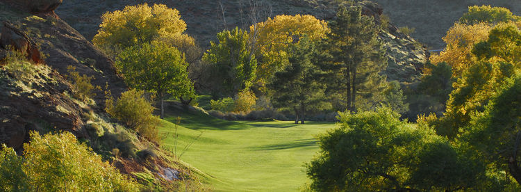 Dixie Red Hills Golf Course | All Square Golf