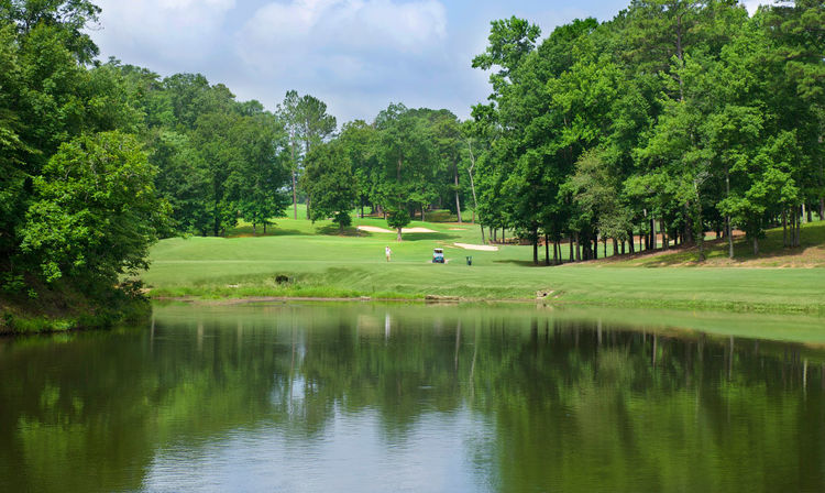 Pine Tree Country Club | All Square Golf