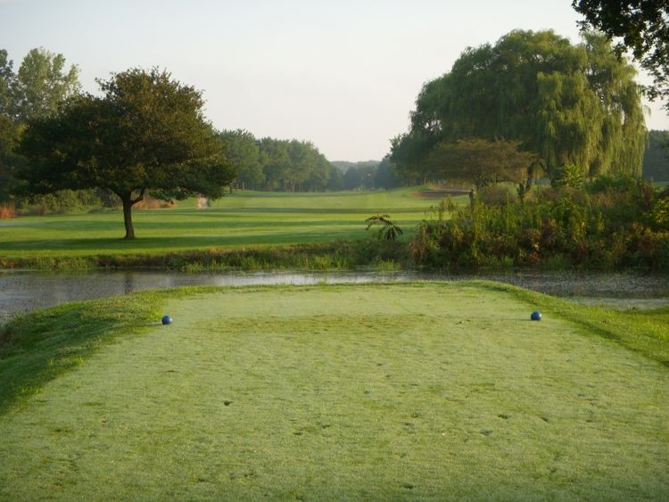 Oak Club of Genoa | All Square Golf