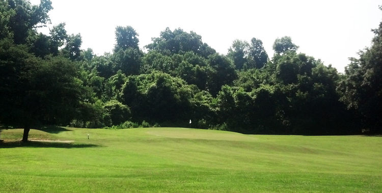 Egyptian Country Club | All Square Golf