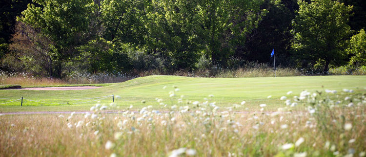 Red Hawk Country Club | All Square Golf