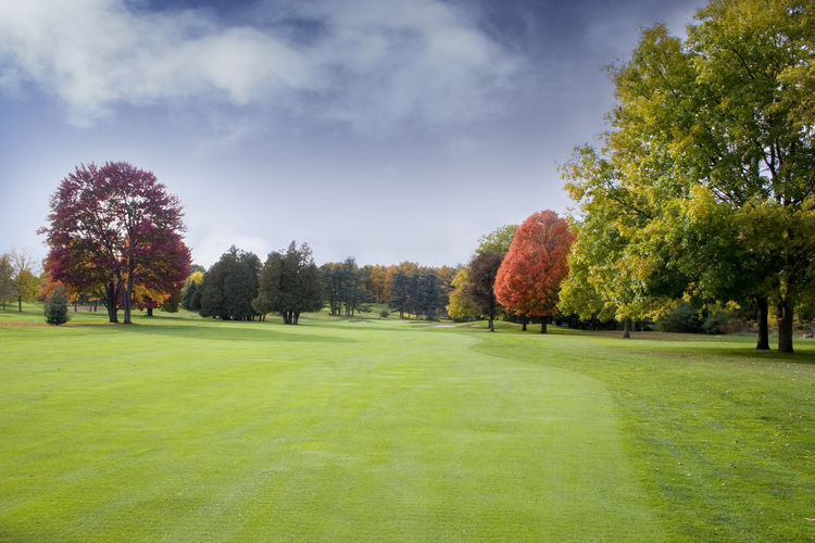 Blythefield Country Club | All Square Golf