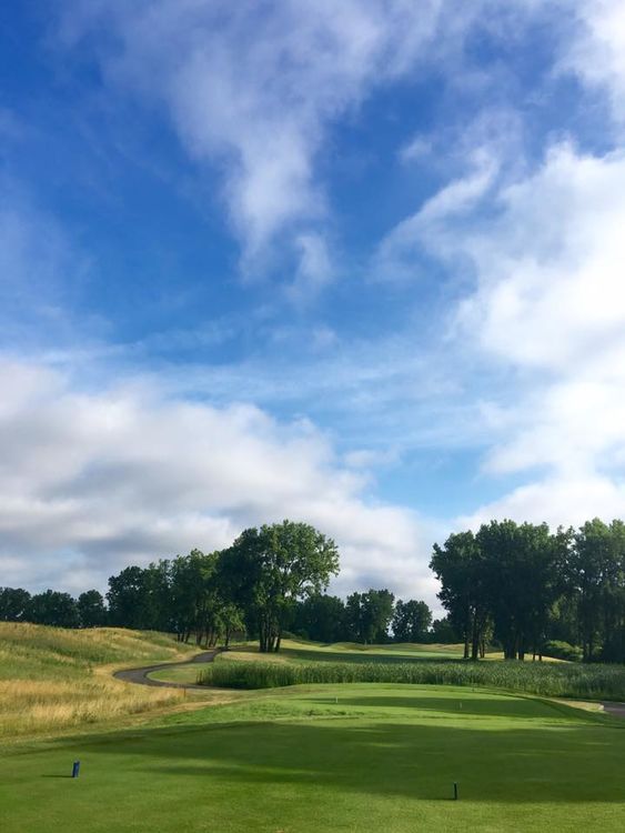 Tpc Michigan | All Square Golf