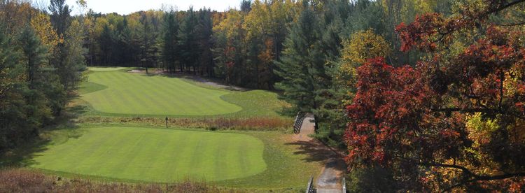 Pohlcat, The | All Square Golf