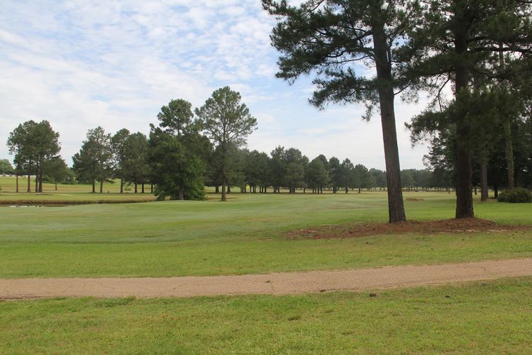 Live Oaks Golf Club | All Square Golf