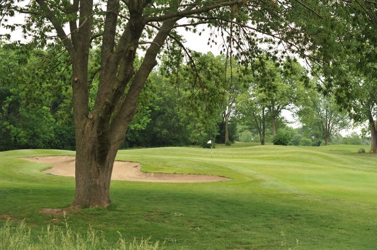 Royal Meadows Golf Course | All Square Golf
