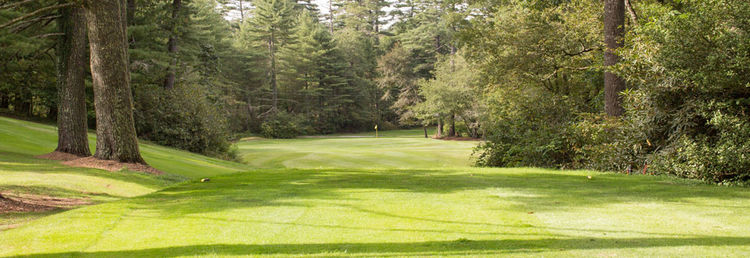 High Hampton Resort | All Square Golf