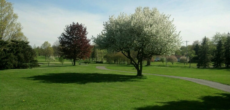 Flying B Golf Course | All Square Golf