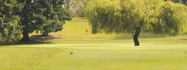 Allenmore Public Golf Course | All Square Golf