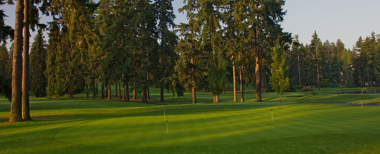 Jackson Park Golf Course | All Square Golf