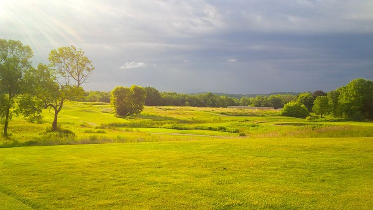 Bellmere Winds Golf Club | All Square Golf