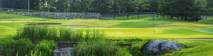 Century Pines Golf Club | All Square Golf