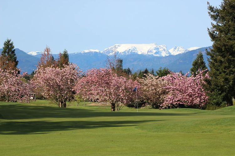 Crown Isle Golf Course | All Square Golf