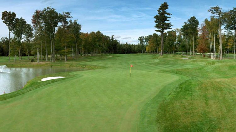Falcon Golf | All Square Golf
