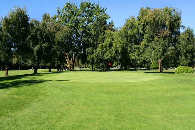 Green Acres Golf Course | All Square Golf