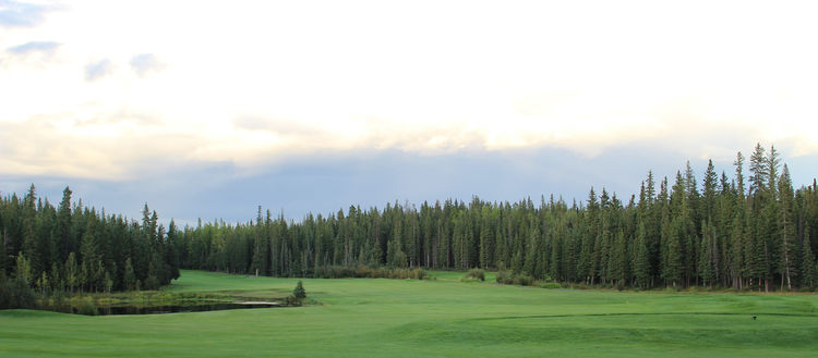 Edson Golf and Country Club | All Square Golf