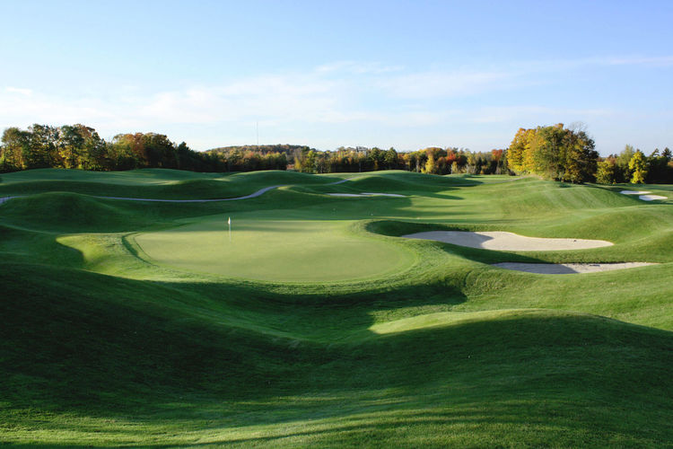 Innisbrook Golf Course | All Square Golf