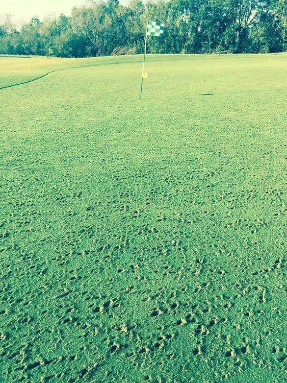 Puslinch Lake Golf Course | All Square Golf