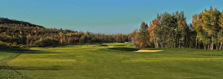 Timberwolf Golf Club | All Square Golf