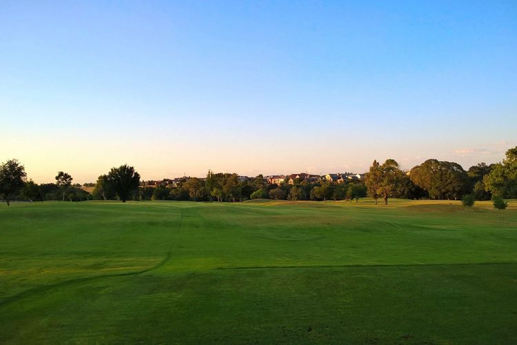Irene Country Club | All Square Golf
