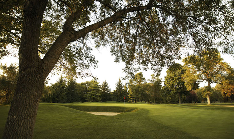 Golden Vale Golf Club | All Square Golf