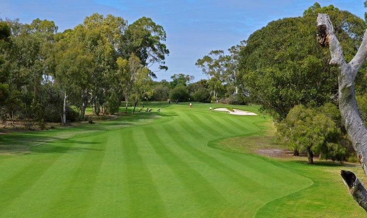 Whaleback Golf Course | All Square Golf