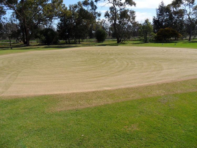 Griffith Golf Club | All Square Golf