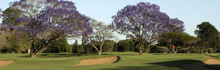 Royal Queensland Golf Club | All Square Golf