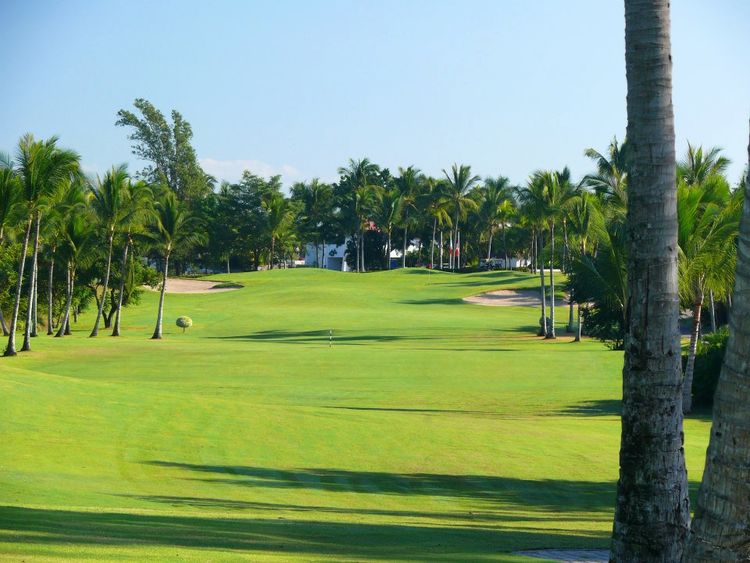 Flamingos Club de Golf | All Square Golf