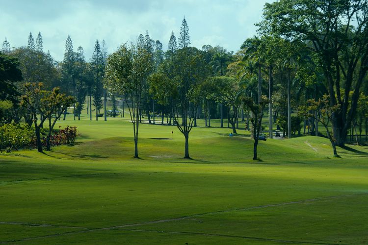 Lagunita Country Club | All Square Golf