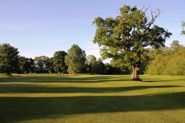 Wexham Park Golf Club | All Square Golf