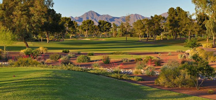 Scottsdale Silverado Golf Club | All Square Golf