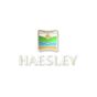 Haesley Nine Bridges | All Square Golf