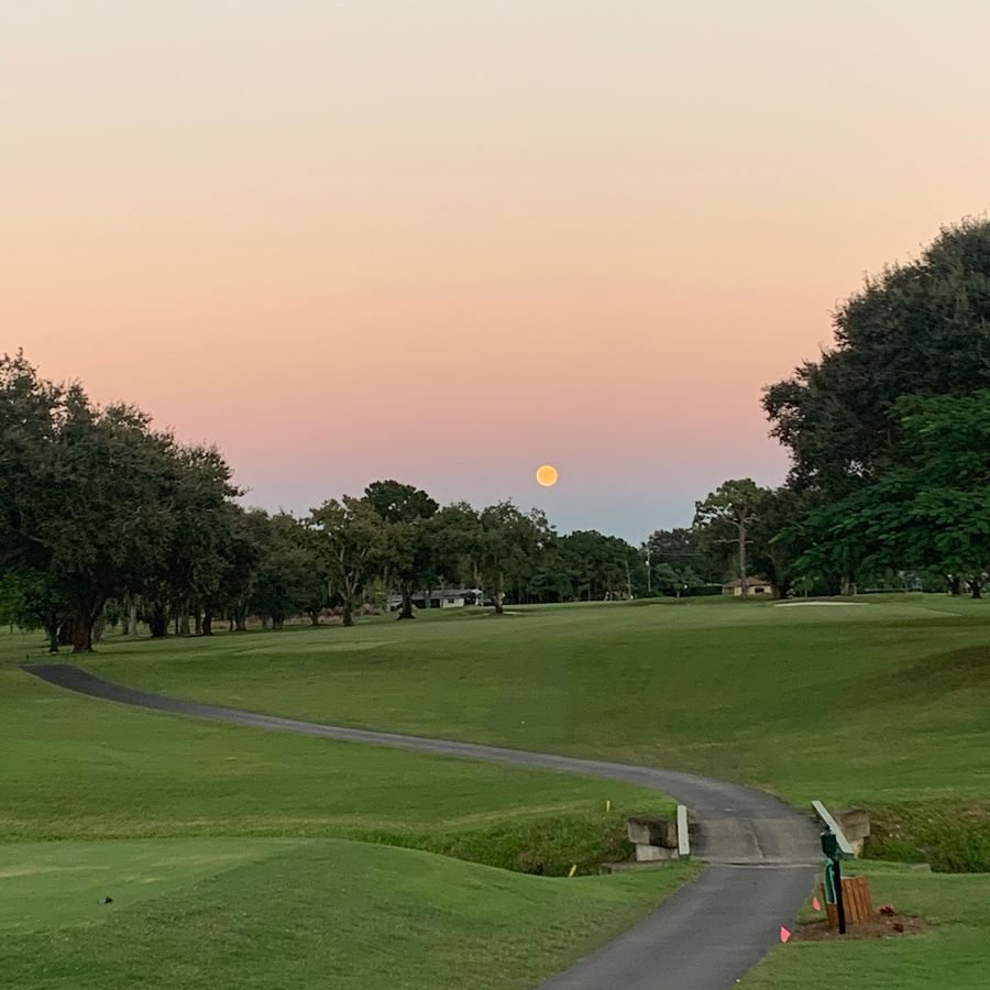 Gator Creek Golf Course | All Square Golf